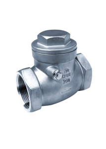 Buy 2" Swing Check | Stainless Steel Ball Valves